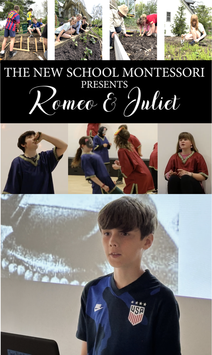 New School Montessori's Students in 4th, 5th and 6th Grade Have Been ...